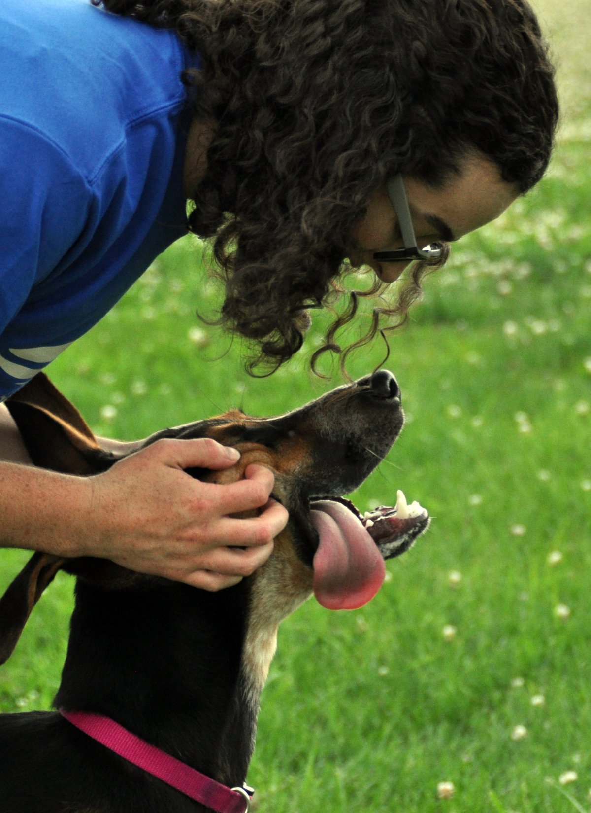 Hocking College Alumnus Will Compete in Historic Dog Show