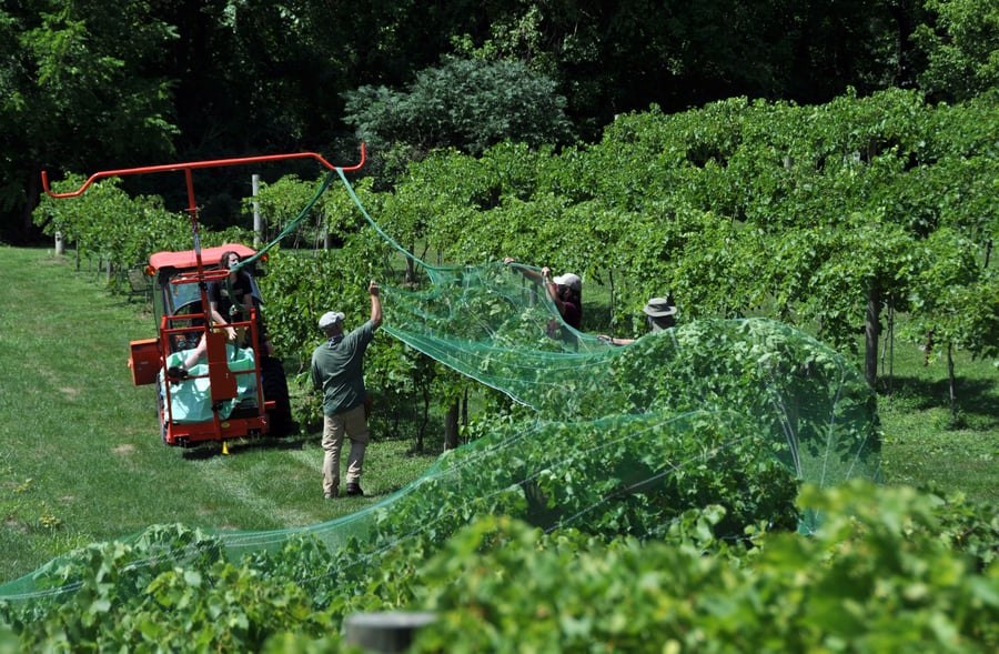 Hocking College receives vineyard netting equipment from Minn. company