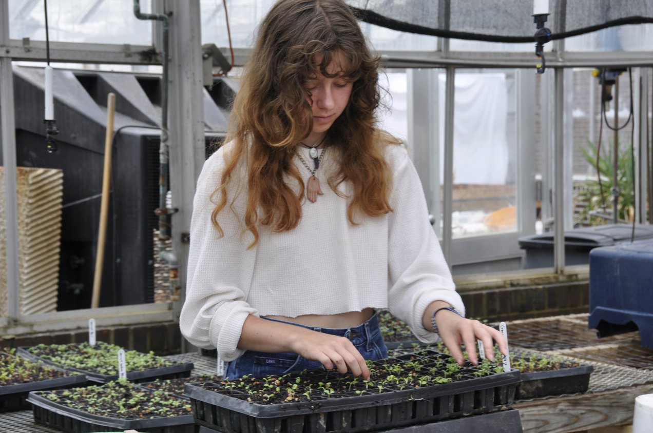 The Growing Impact of Biodynamic Farming