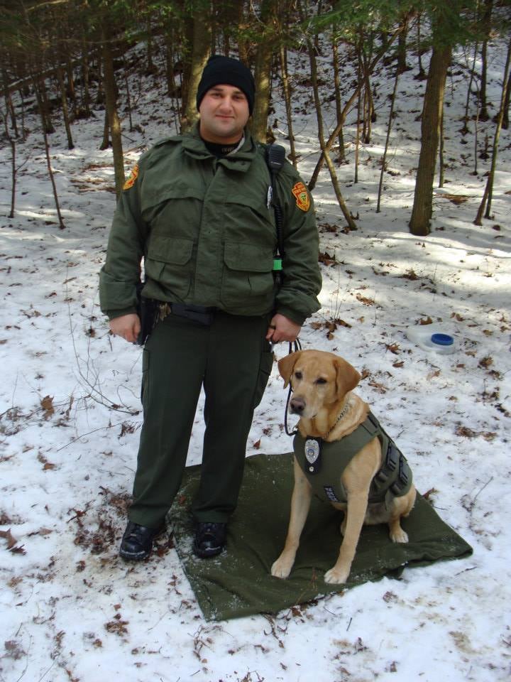 13 Jobs You Can Get in Wildlife Conservation